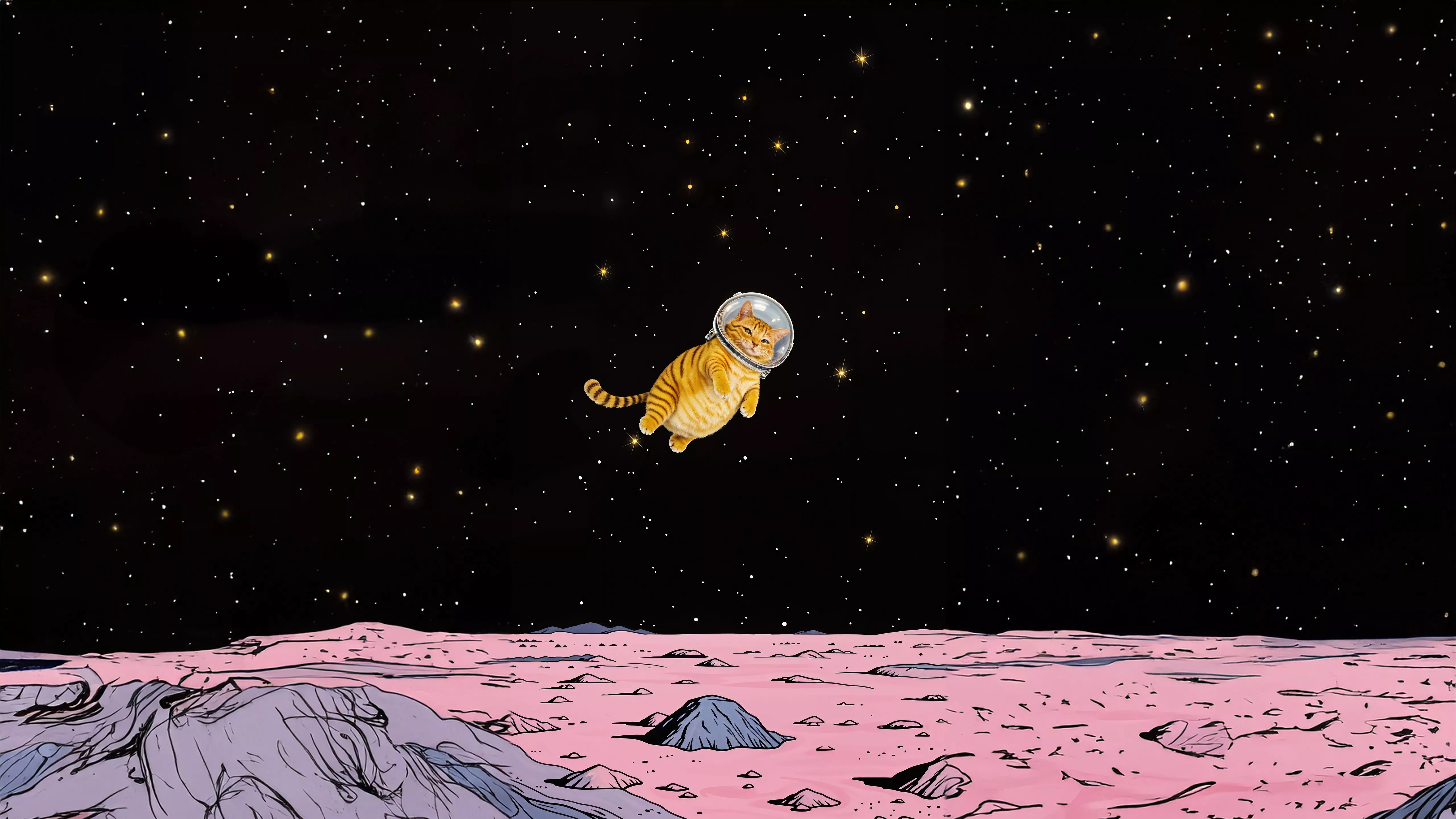 Space Cat 4k Wallpapers - Wallpaper Cave