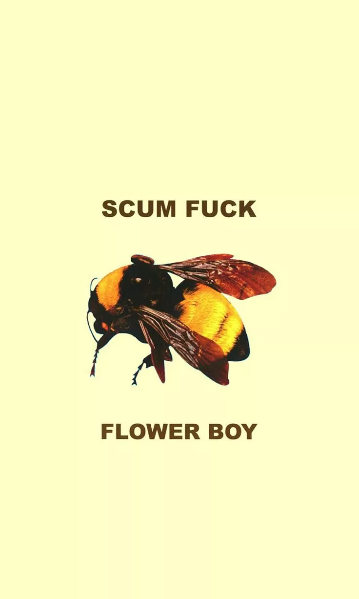 Flower Boy Wallpapers - Wallpaper Cave
