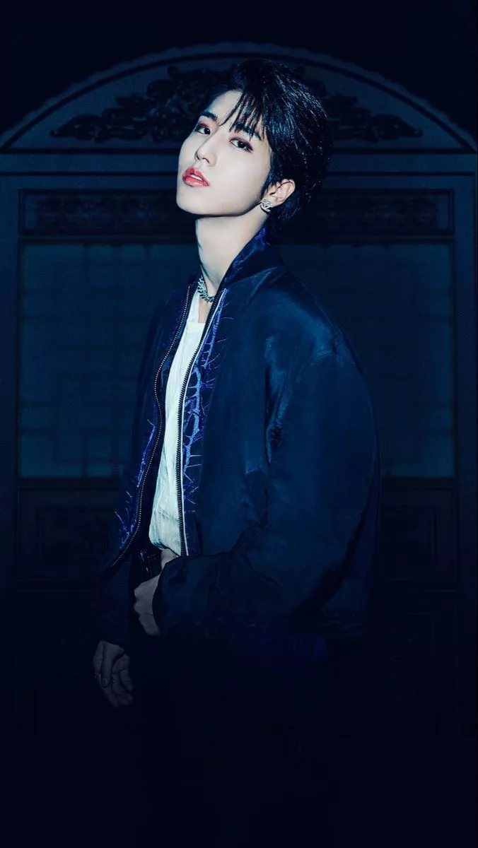 Stray Kids Han Ji-sung Wallpapers - Wallpaper Cave
