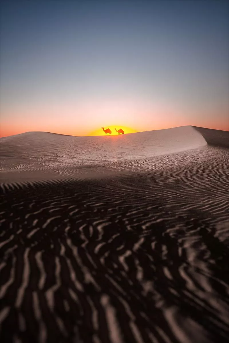 Sahara Phone Wallpapers - Wallpaper Cave