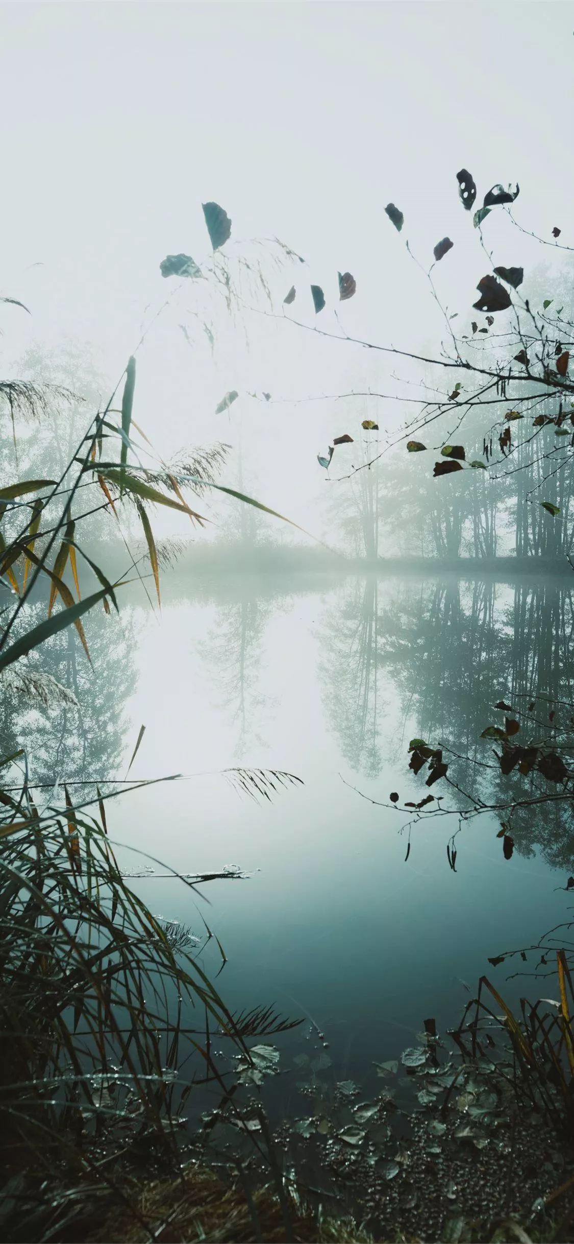 iPhone Environment Wallpapers - Wallpaper Cave