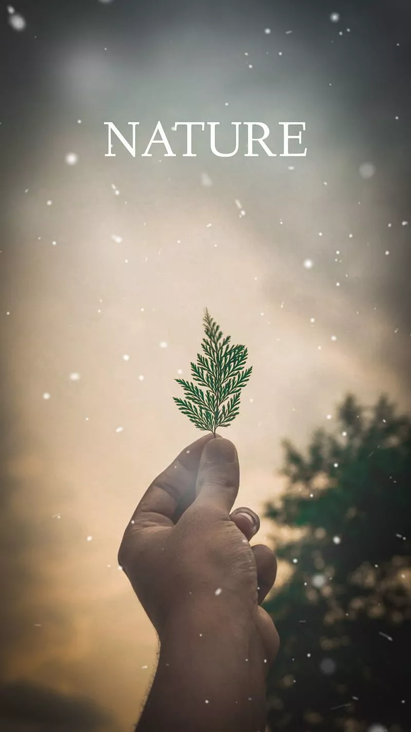 iPhone Environment Wallpapers - Wallpaper Cave