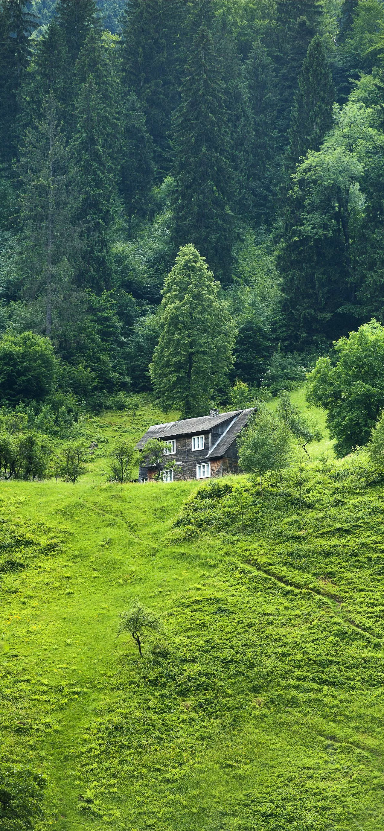 iPhone Environment Wallpapers - Wallpaper Cave