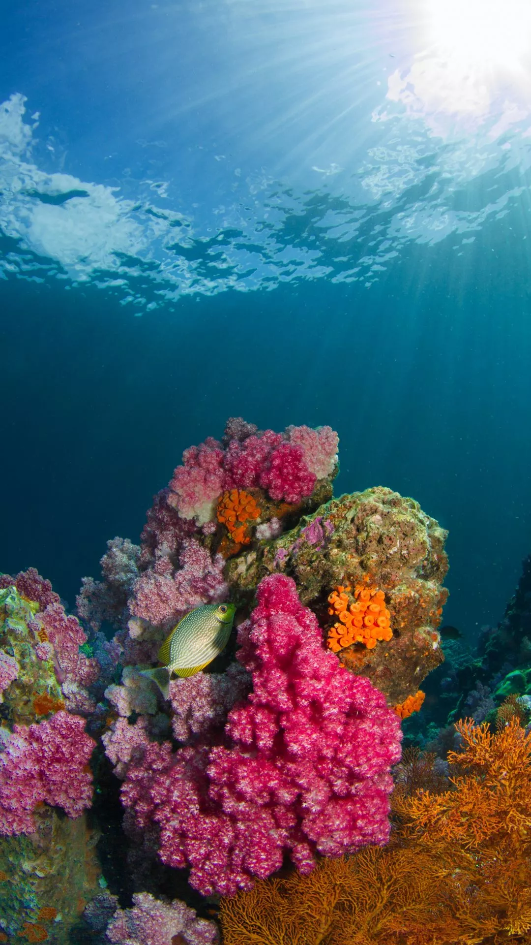 iPhone Environment Wallpapers - Wallpaper Cave