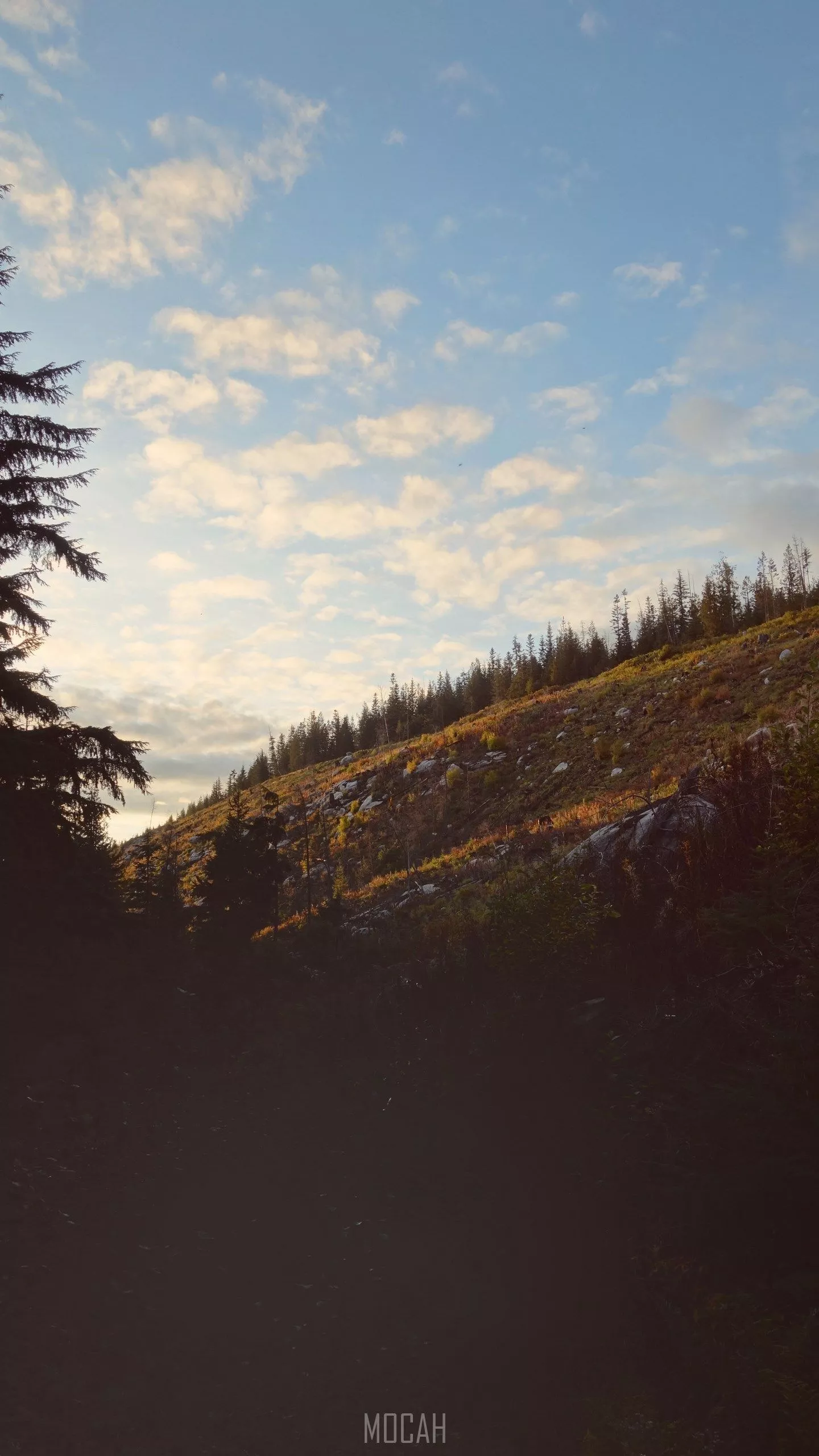 iPhone Environment Wallpapers - Wallpaper Cave