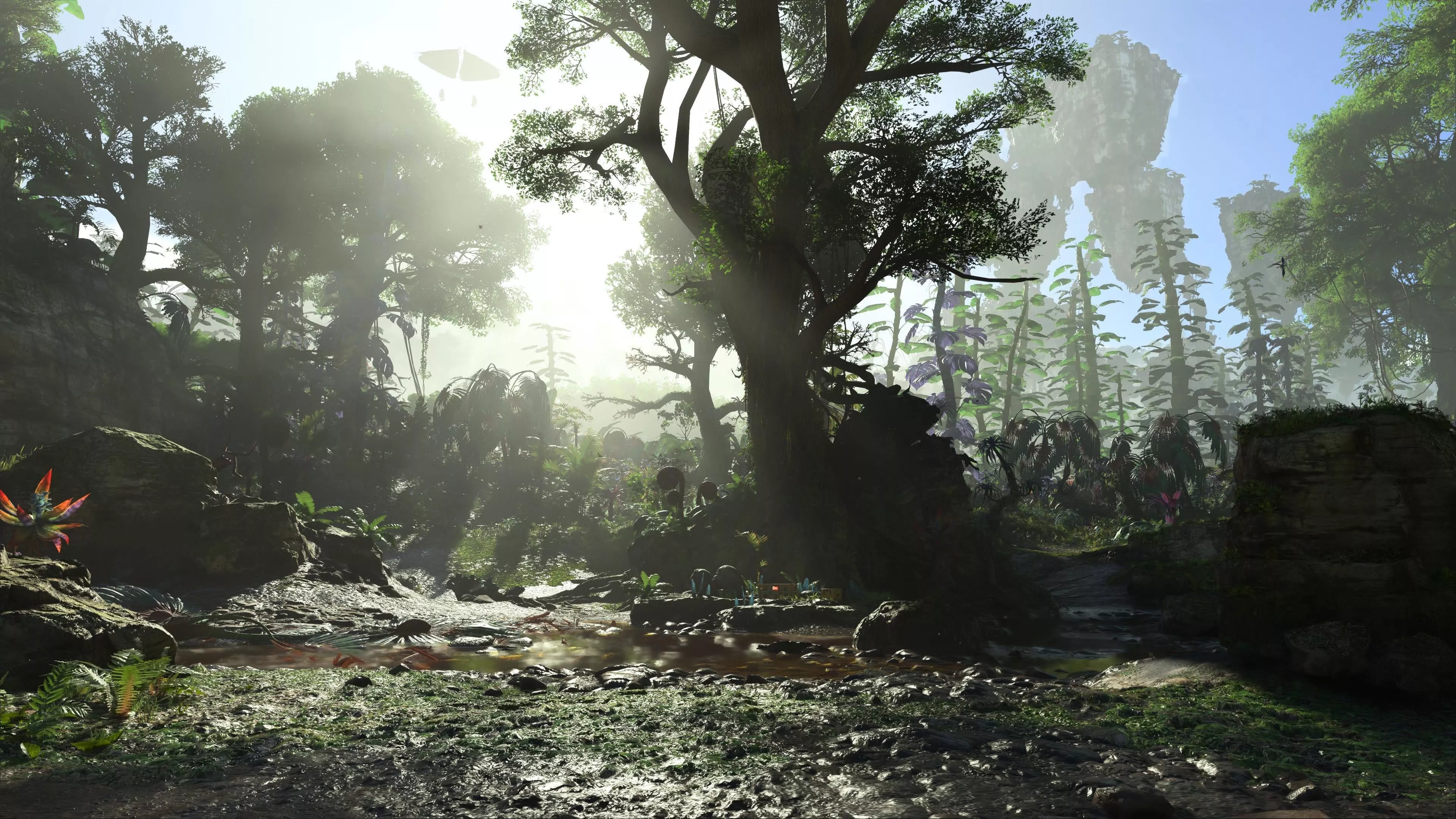 Avatar Forest Wallpapers - Wallpaper Cave