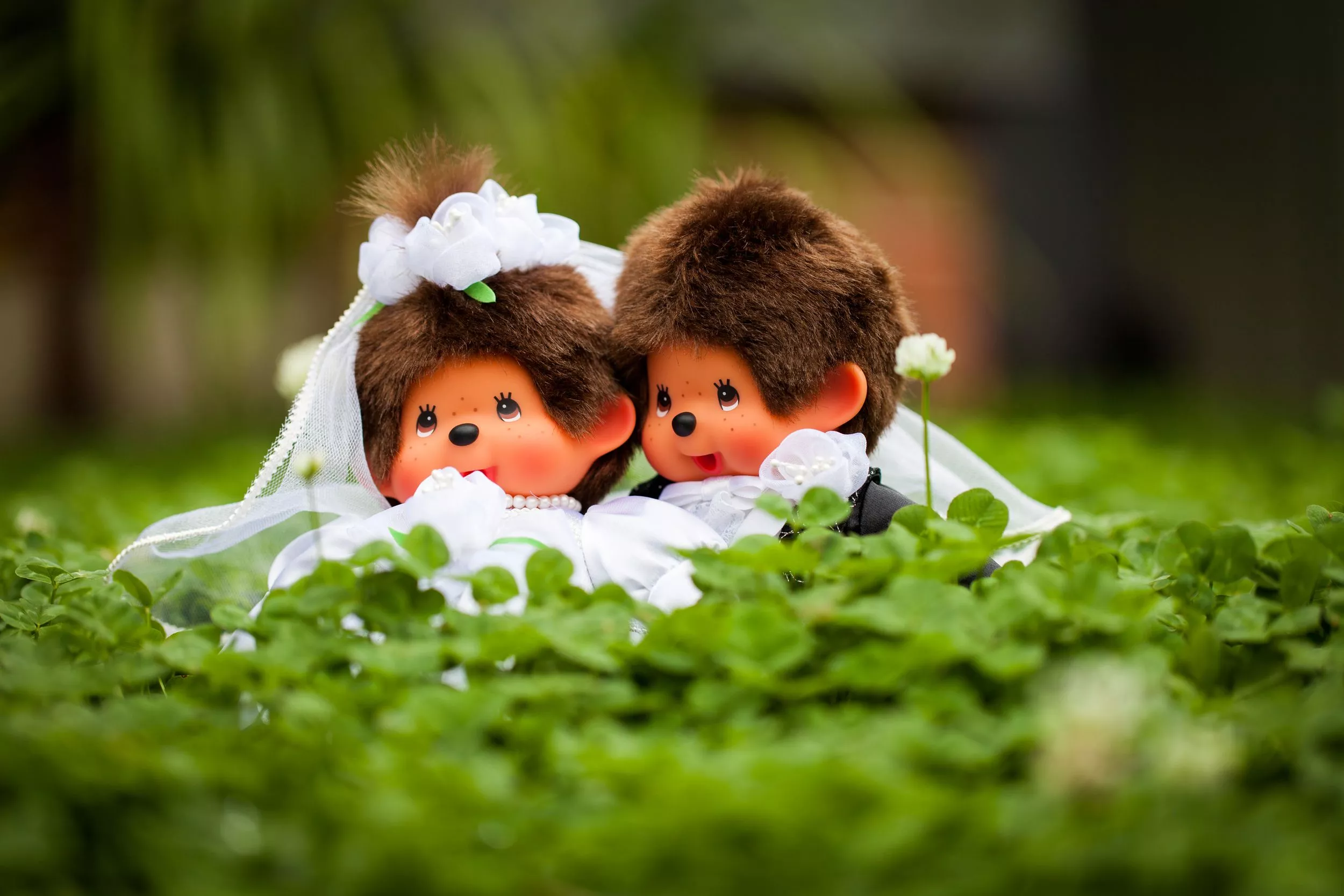 Monchichi Wallpapers - Wallpaper Cave