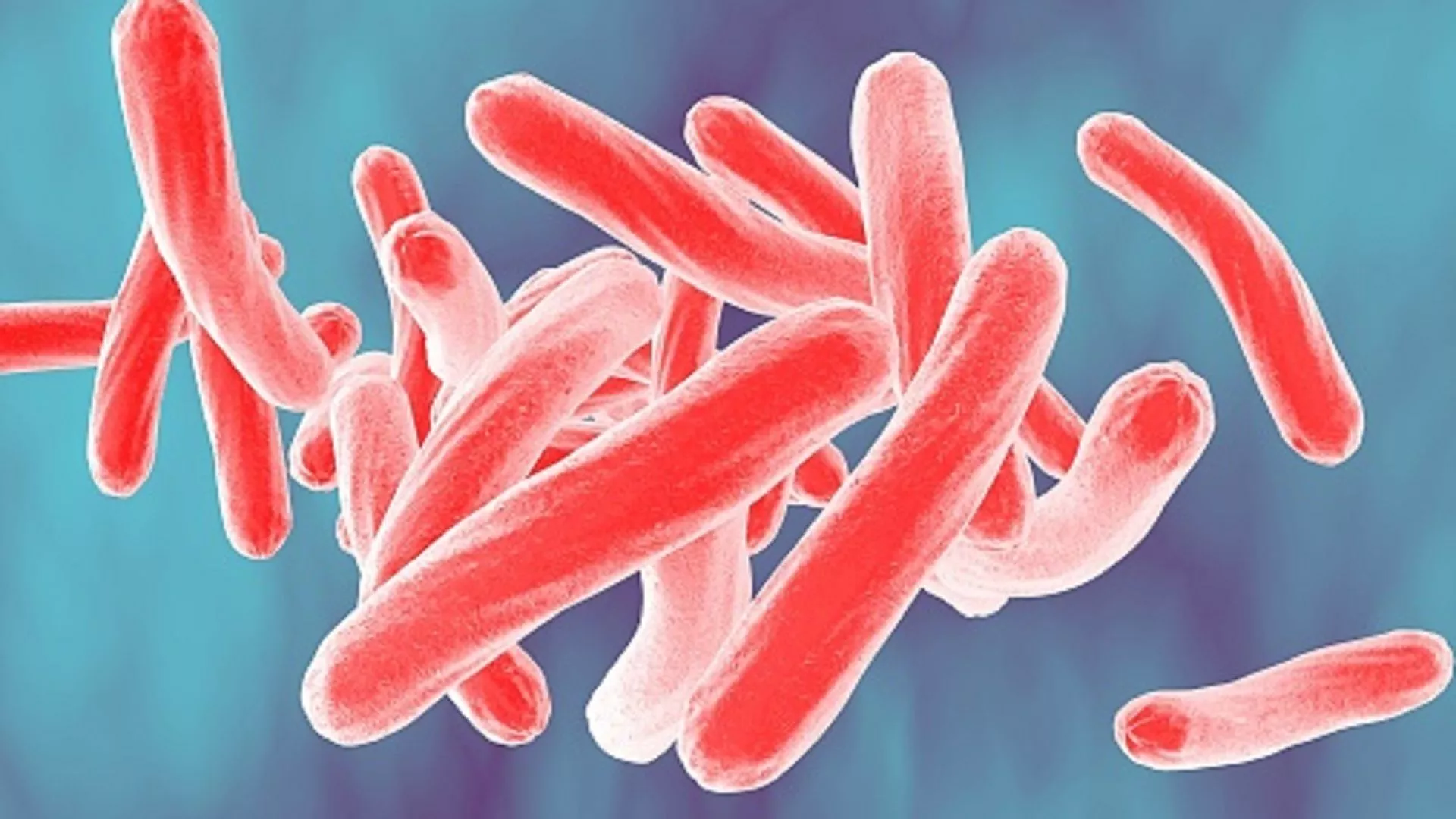 Tuberculosis Wallpapers - Wallpaper Cave