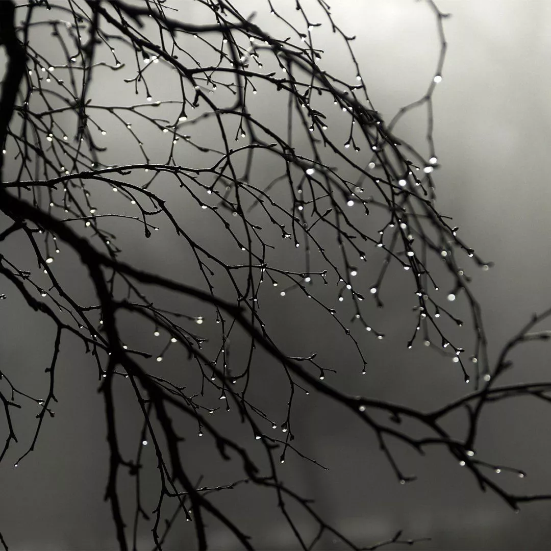 Grey PFP Wallpapers - Wallpaper Cave