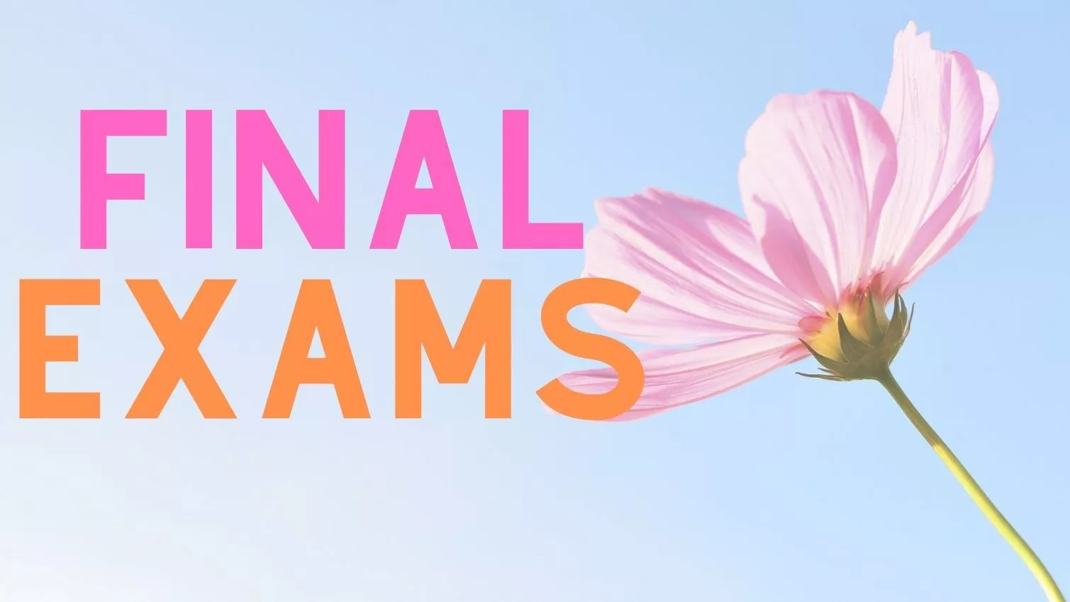 Final Exam Wallpapers - Wallpaper Cave