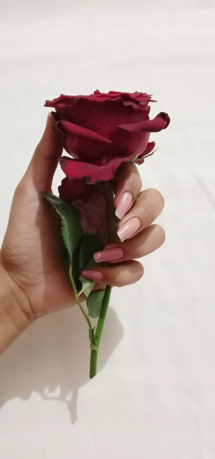 Rose And Hands Wallpapers - Wallpaper Cave