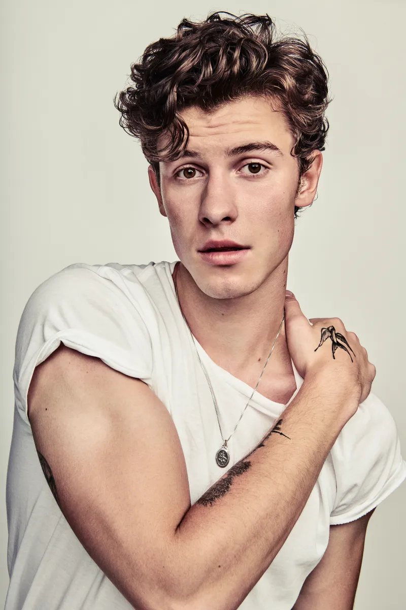 Shawn Mendes Shawn Album Wallpapers - Wallpaper Cave