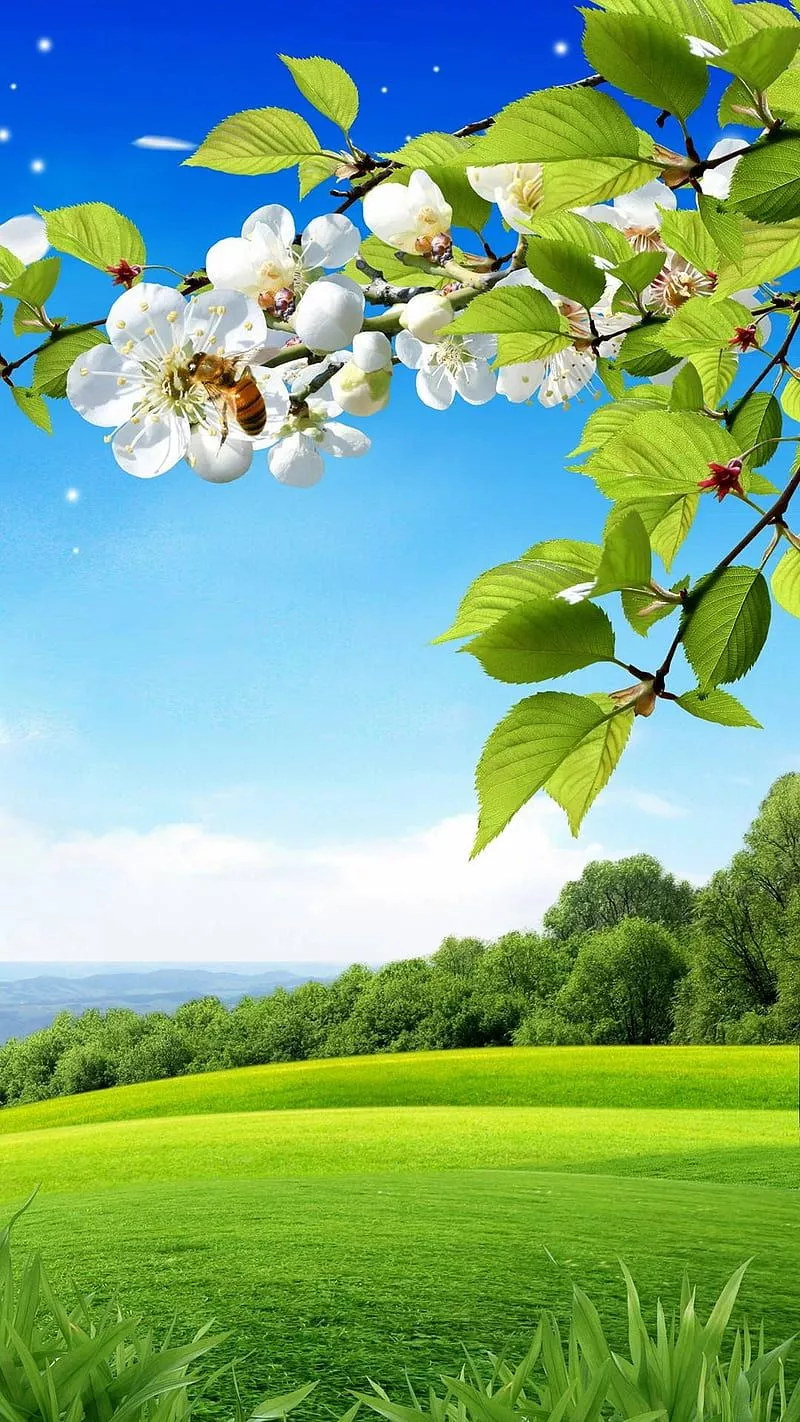 Nature Spring Season Wallpapers - Wallpaper Cave