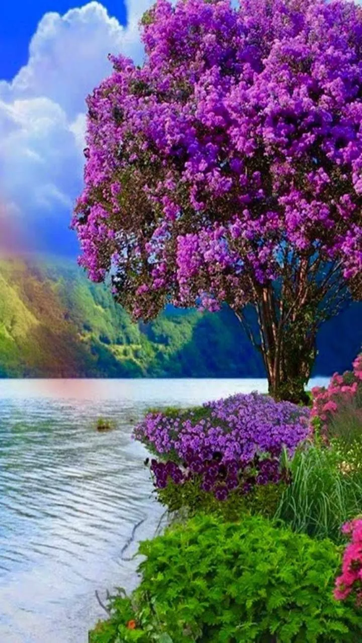 Nature Spring Season Wallpapers - Wallpaper Cave