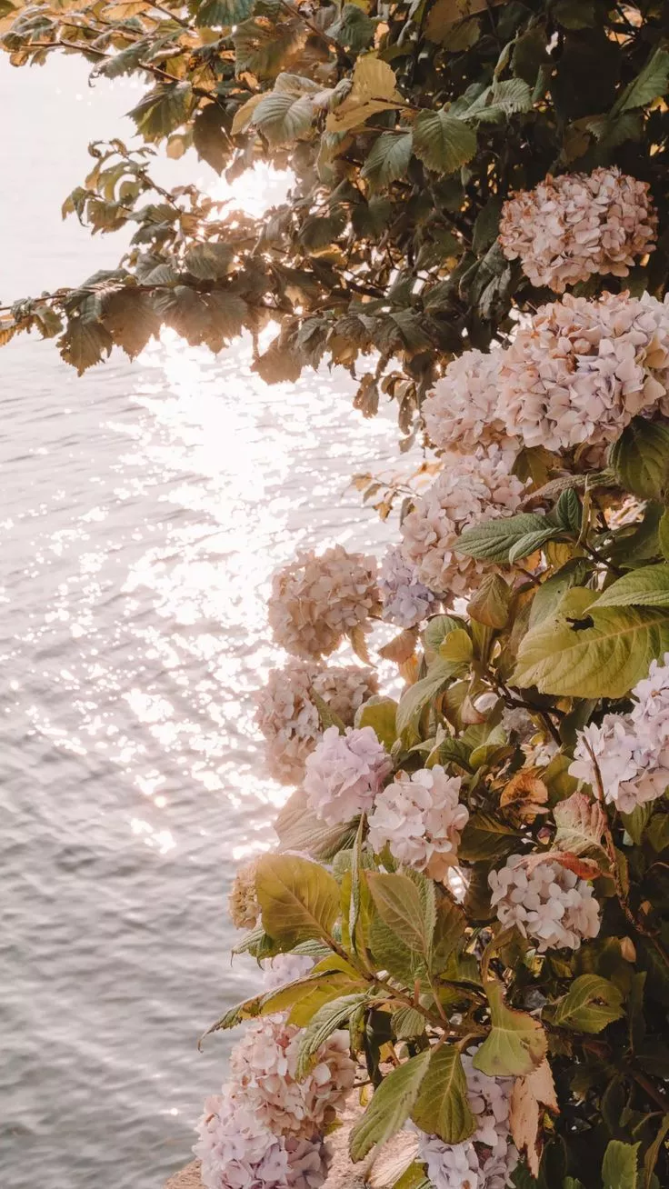 Wallpapers Springtime Wallpaper Cave