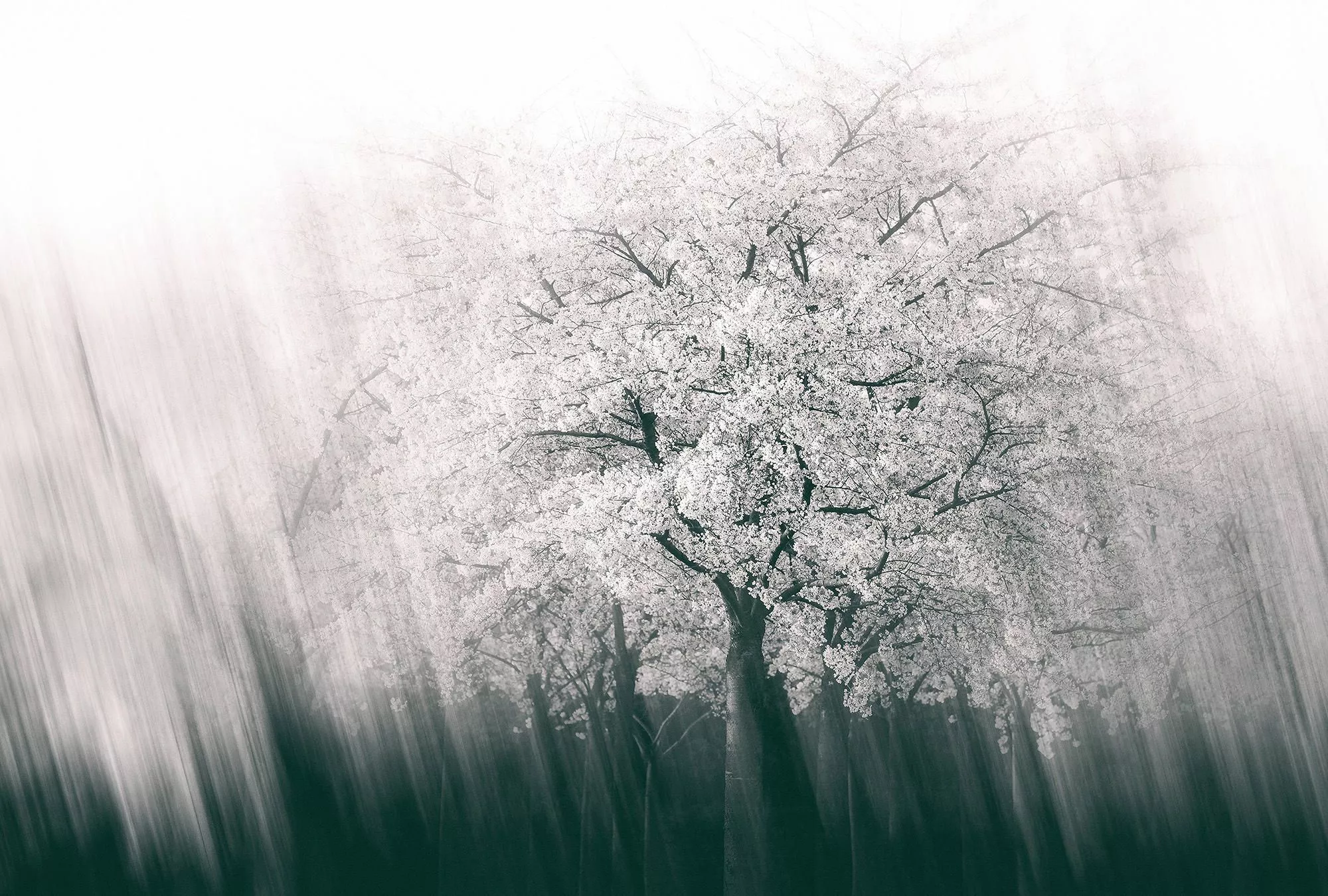 Digital Spring Wallpapers - Wallpaper Cave