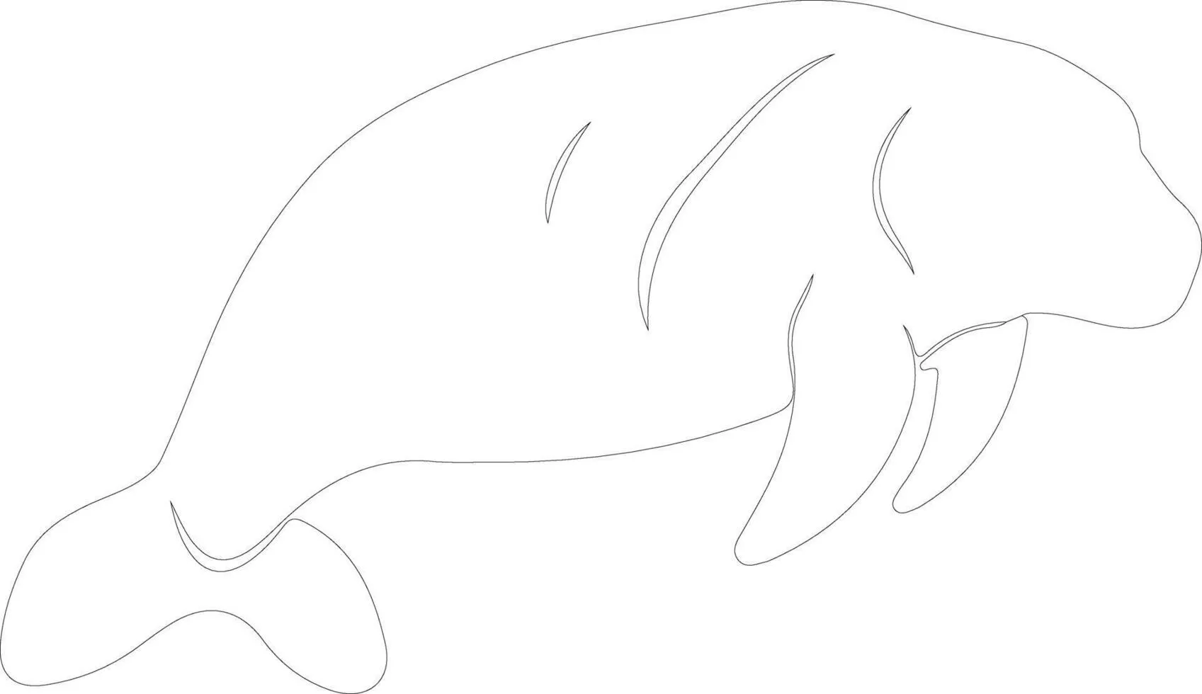 Drawing Manatee Wallpapers - Wallpaper Cave