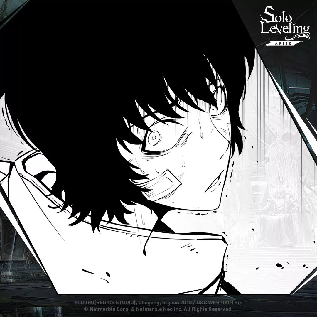 Solo Leveling Black And White Wallpapers - Wallpaper Cave