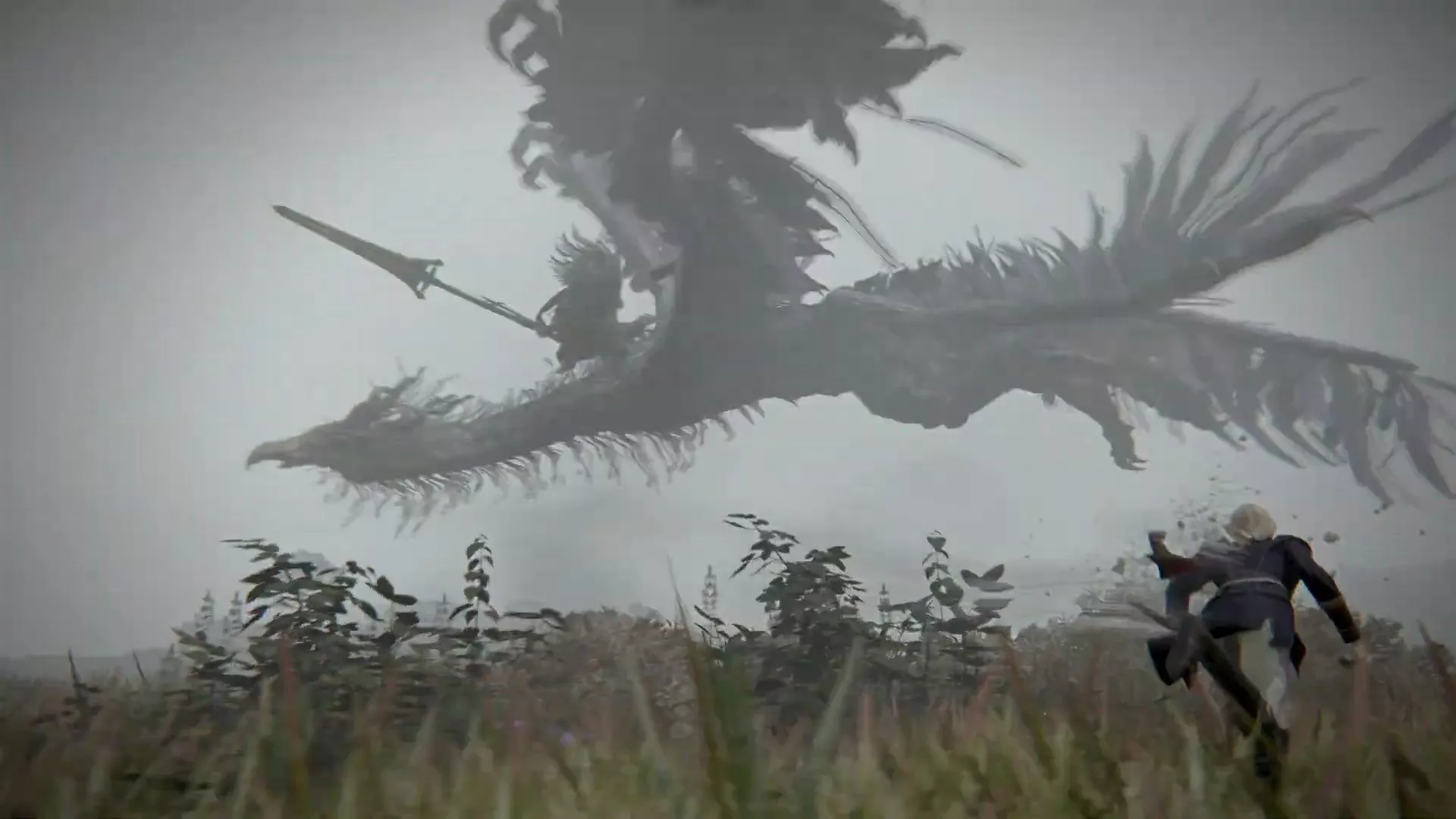 Elden Ring: Nightreign Wallpapers - Wallpaper Cave