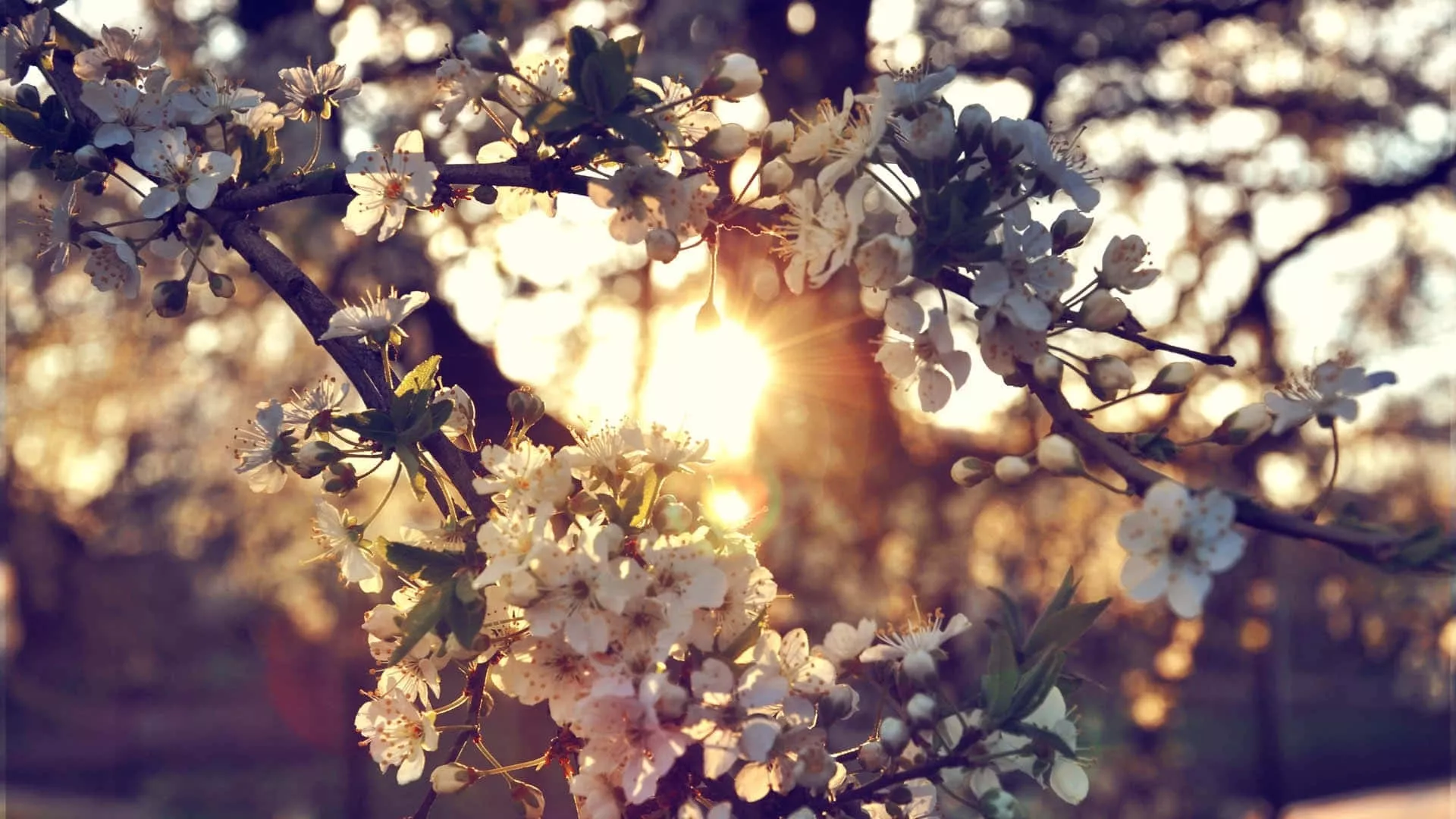 Cute Spring PC Wallpapers - Wallpaper Cave
