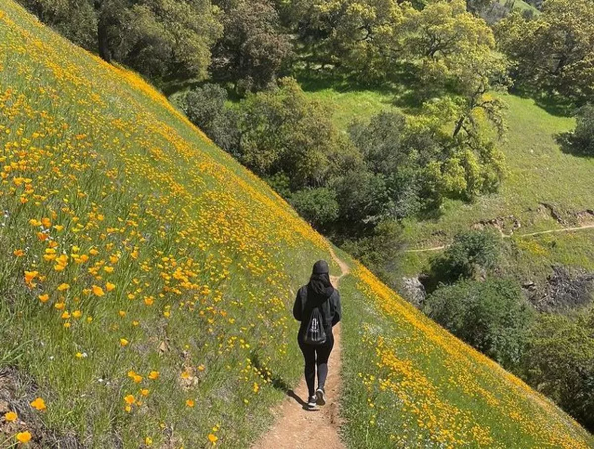 Napa Spring Wallpapers - Wallpaper Cave