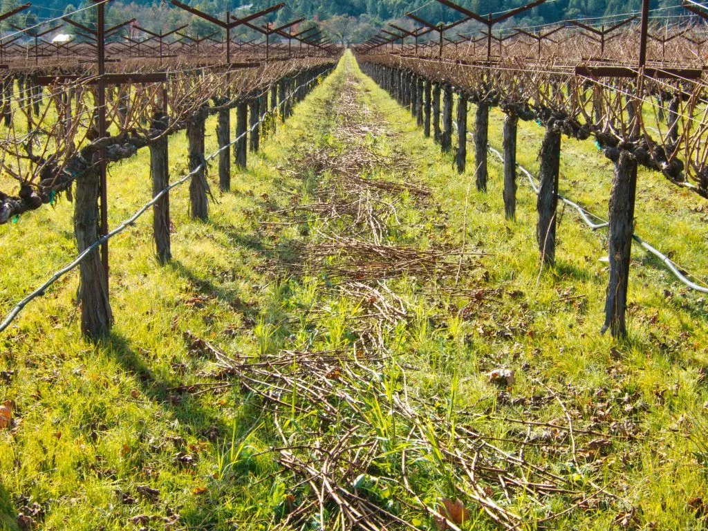 Napa Spring Wallpapers - Wallpaper Cave