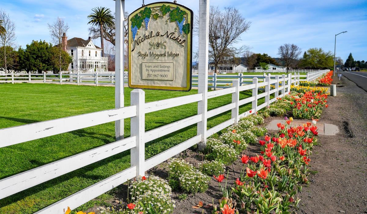 Napa Spring Wallpapers - Wallpaper Cave