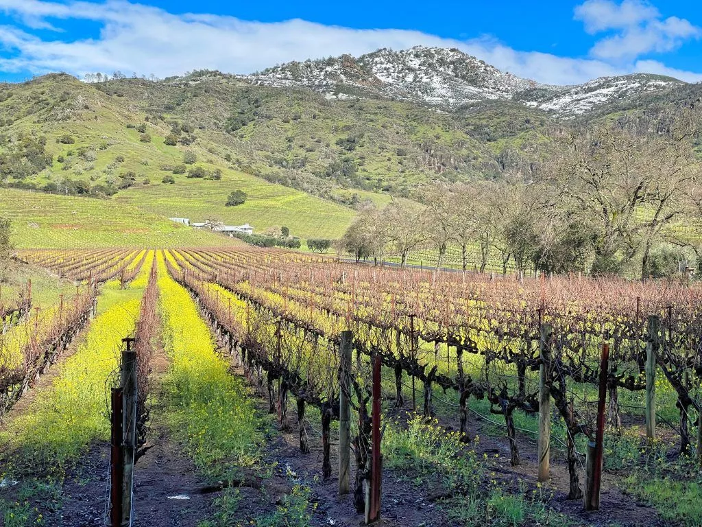 Napa Spring Wallpapers - Wallpaper Cave