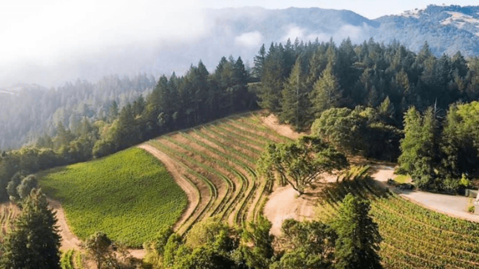 Napa Spring Wallpapers - Wallpaper Cave