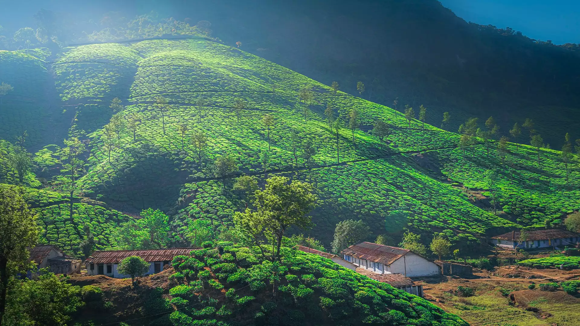 Valparai Wallpapers - Wallpaper Cave