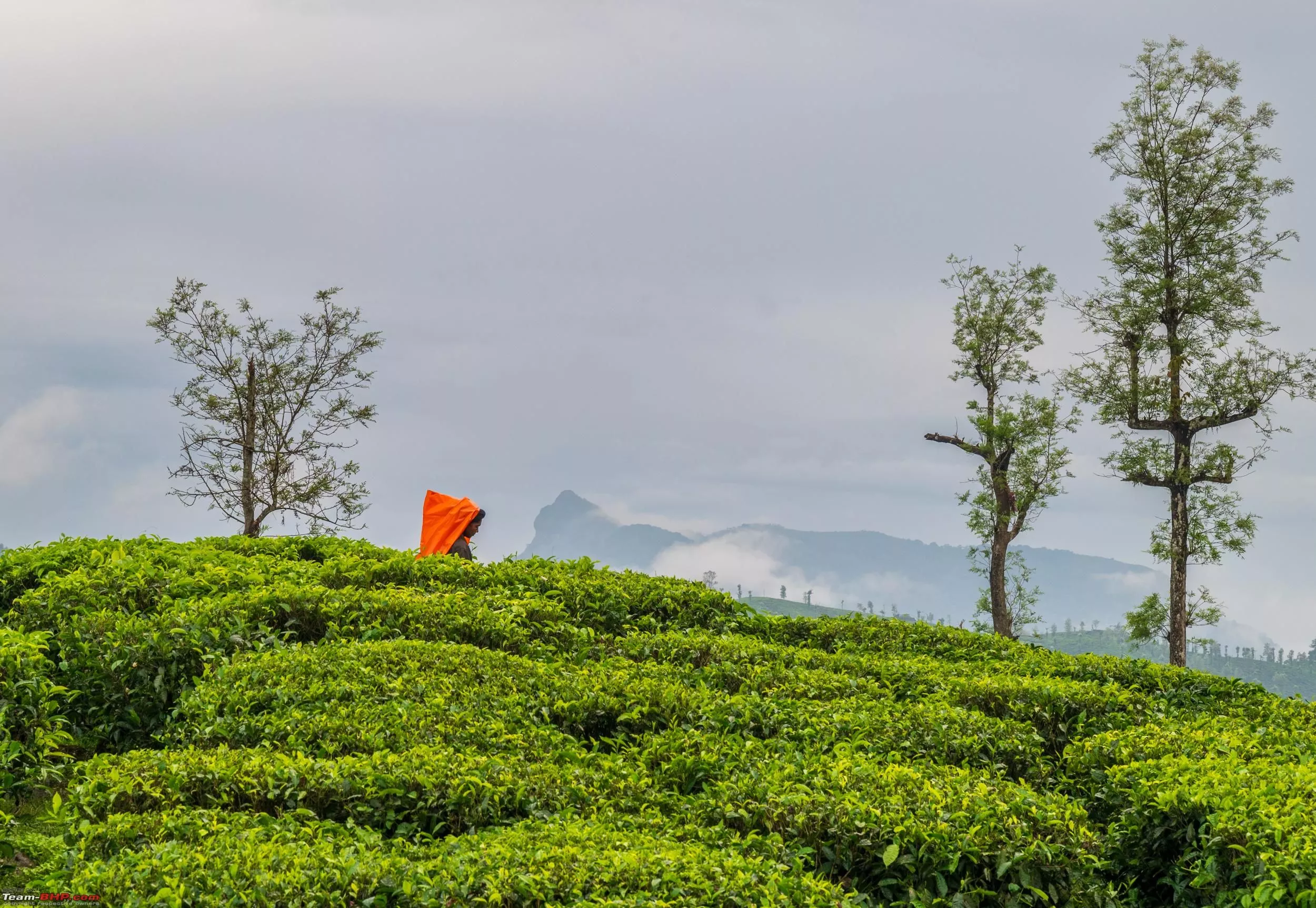 Valparai Wallpapers - Wallpaper Cave