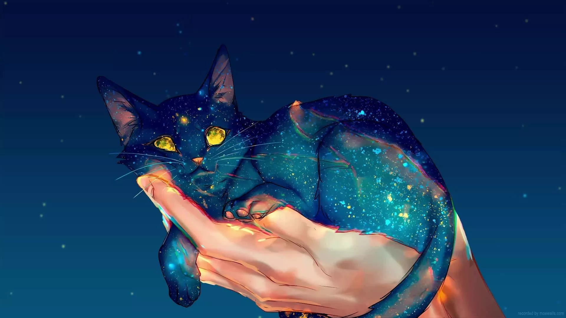 Galaxy Kitty Wallpapers - Wallpaper Cave
