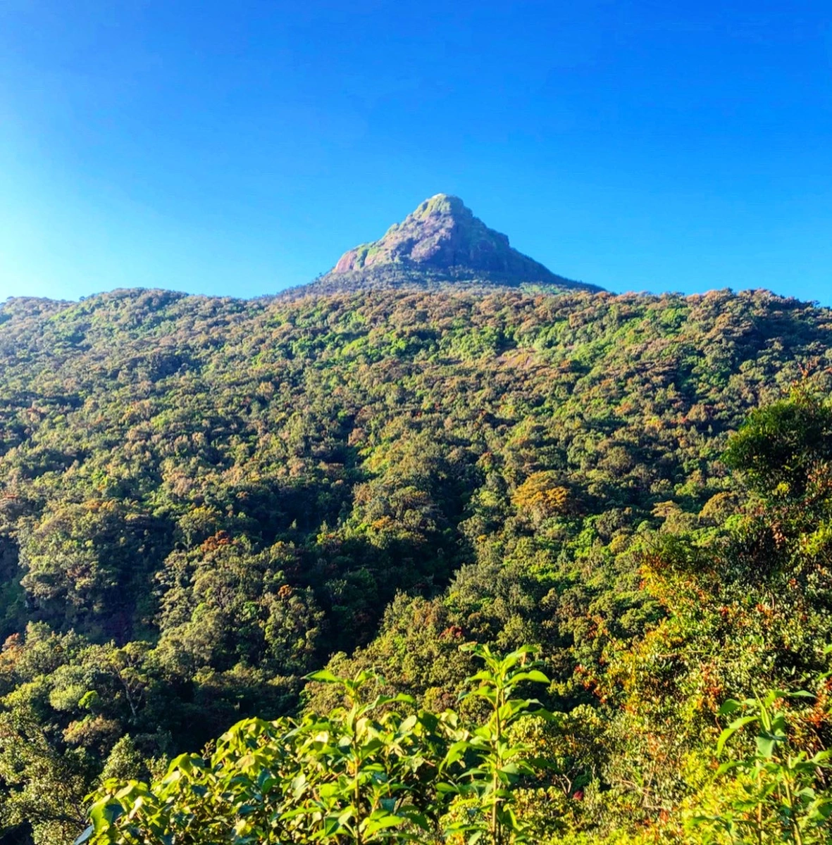 Adam's Peak Wallpapers - Wallpaper Cave