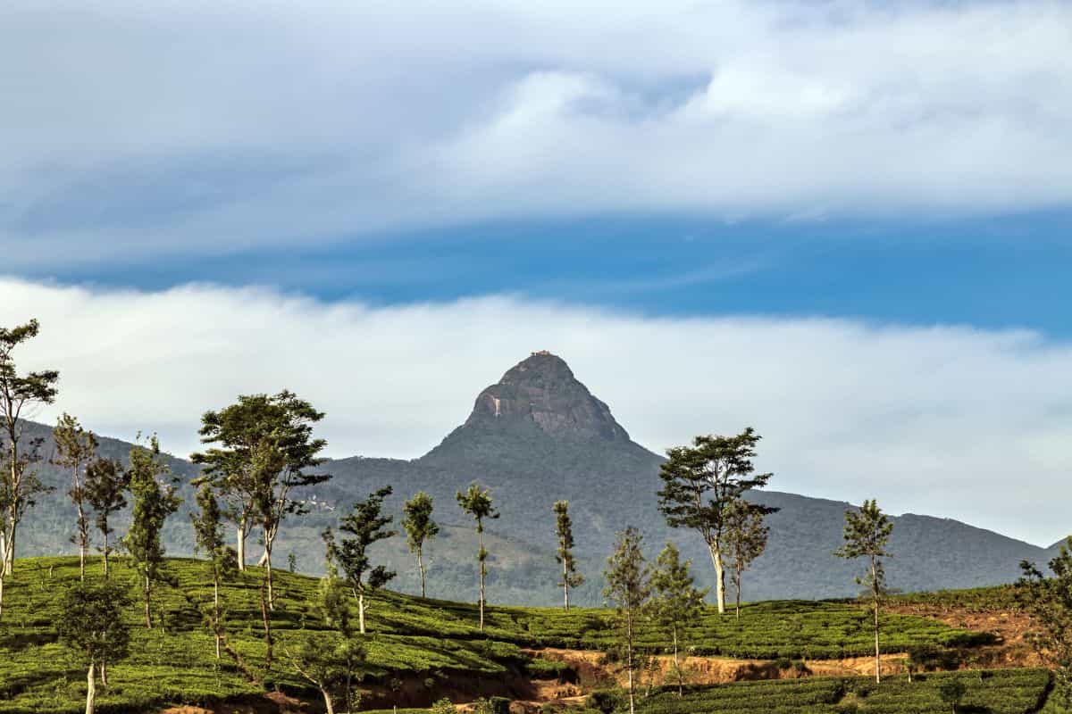 Adam's Peak Wallpapers - Wallpaper Cave