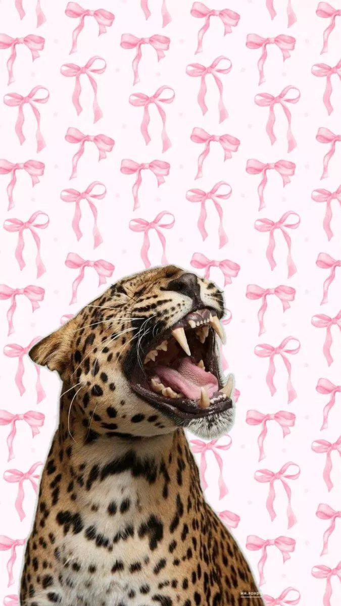Cheetah Print Bows Wallpapers - Wallpaper Cave