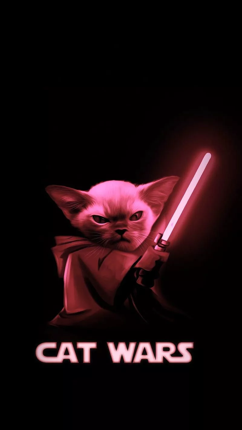 Star Wars Cats Wallpapers - Wallpaper Cave