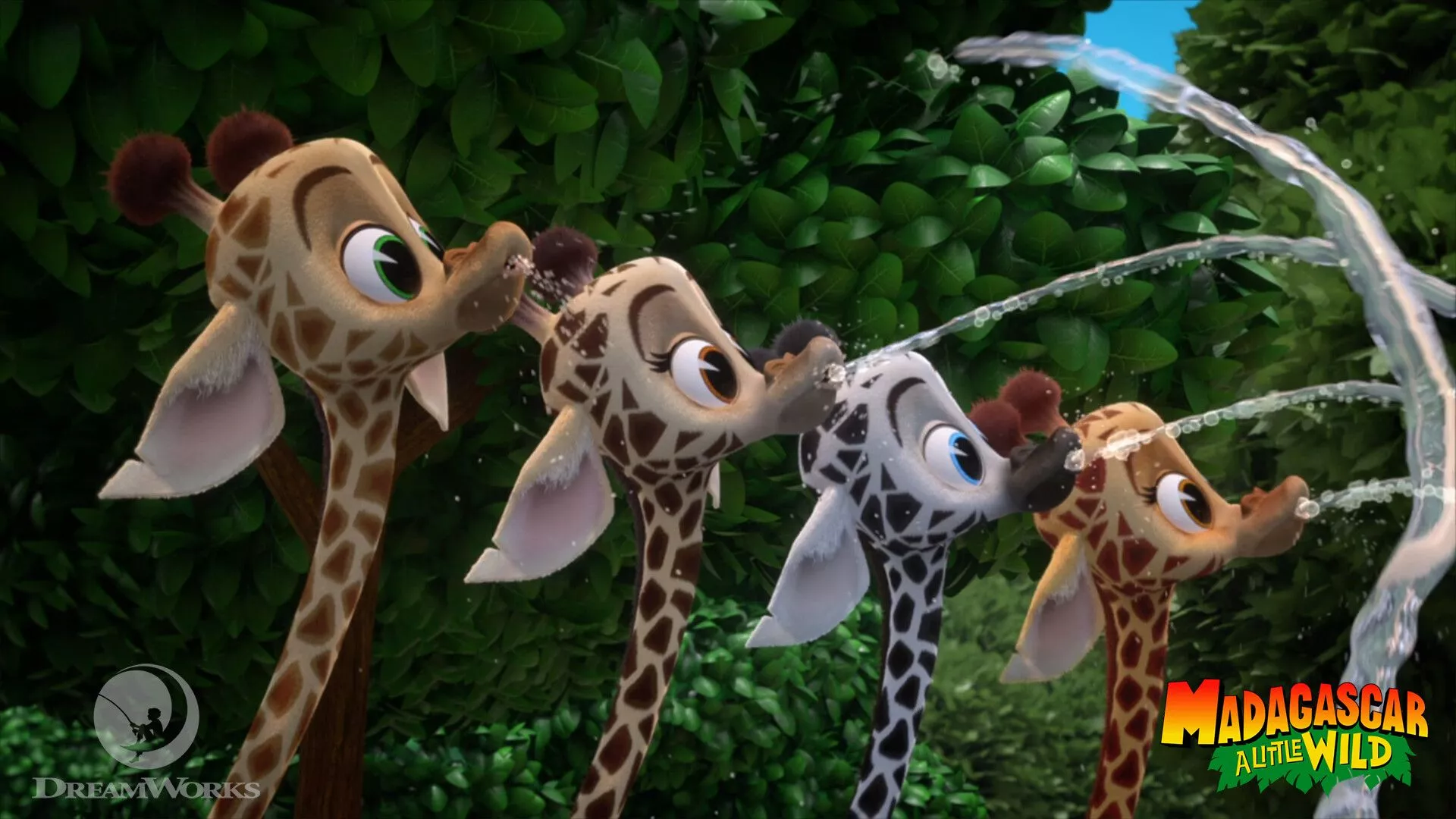 Madagascar: A Little Wild Wallpapers - Wallpaper Cave