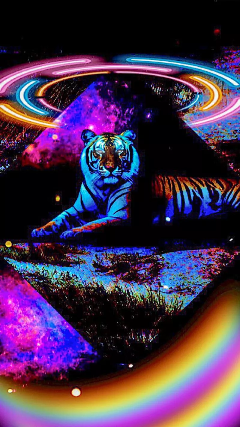 Cosmic Tiger Wallpapers - Wallpaper Cave