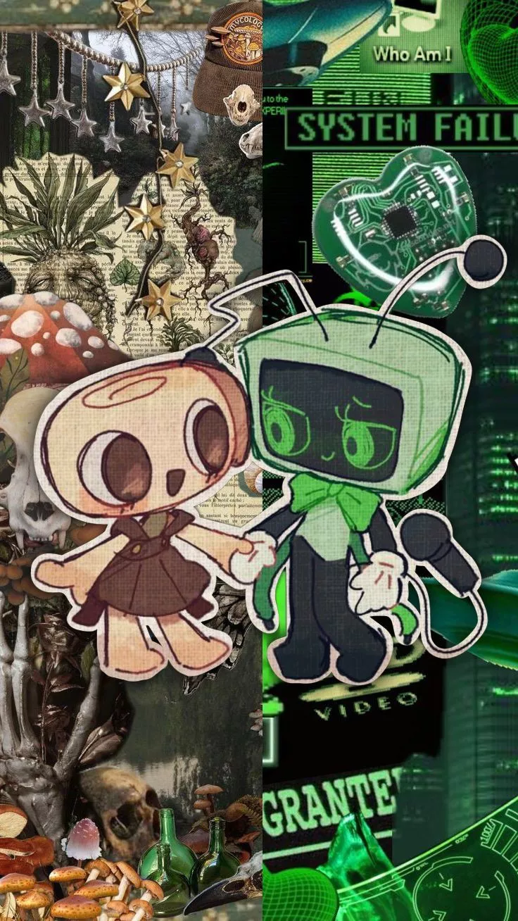 Shellvision Wallpapers - Wallpaper Cave