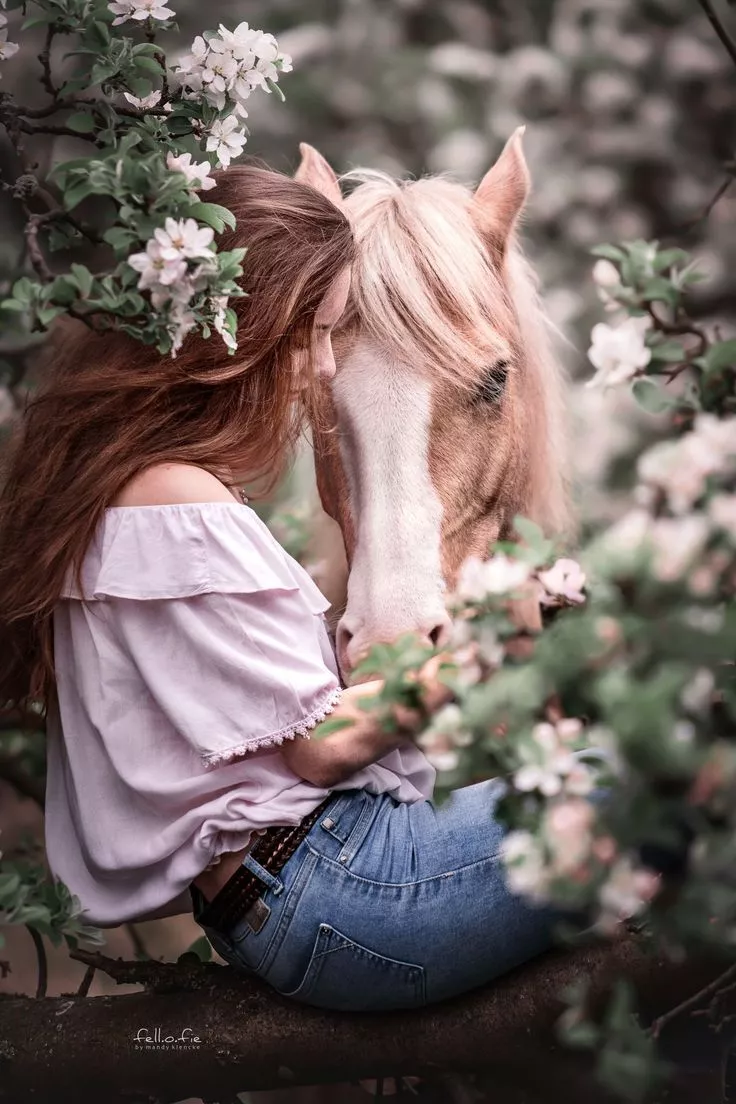 Spring Horse Wallpapers - Wallpaper Cave