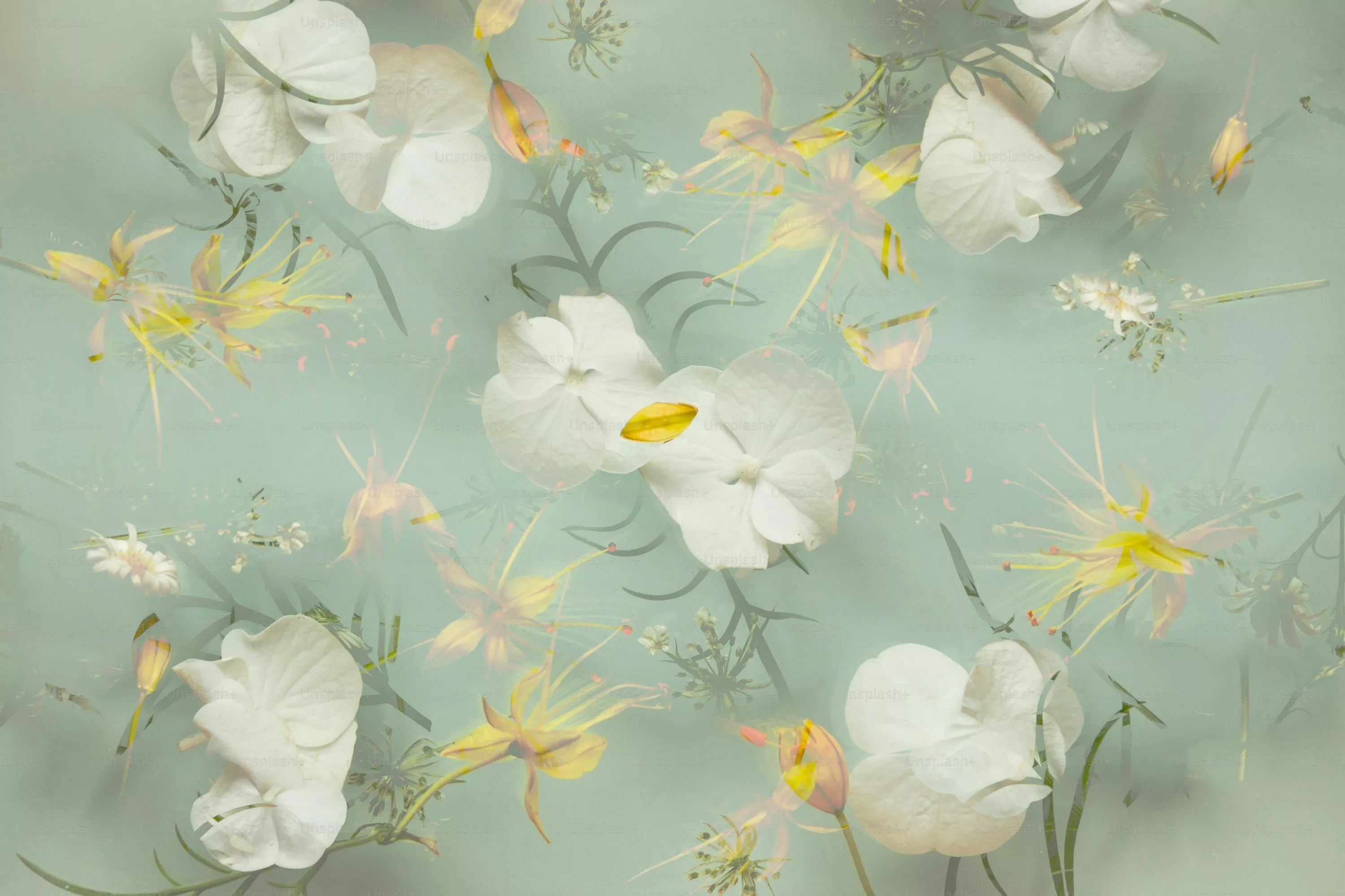 Desktop Cute Pastel Wallpapers - Wallpaper Cave