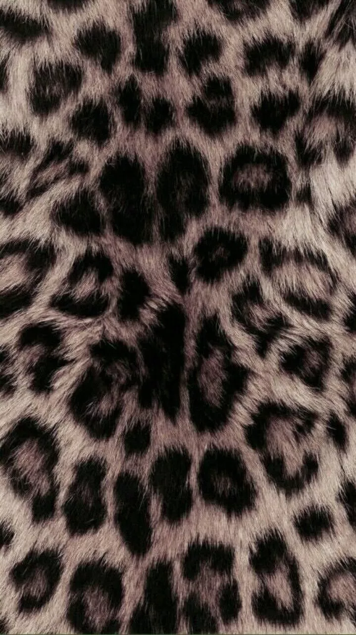 Animal Fur Wallpapers - Wallpaper Cave