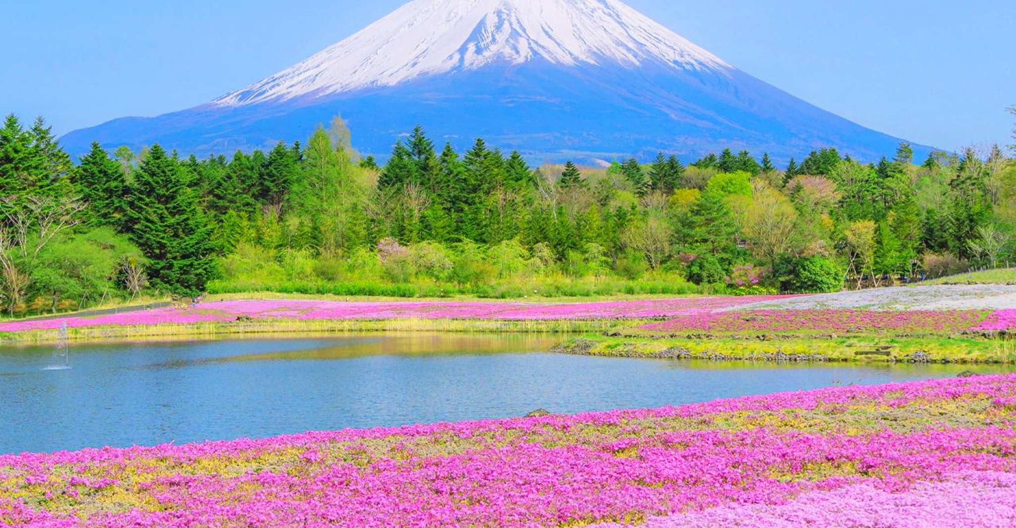 Mount Fuji Spring Wallpapers - Wallpaper Cave
