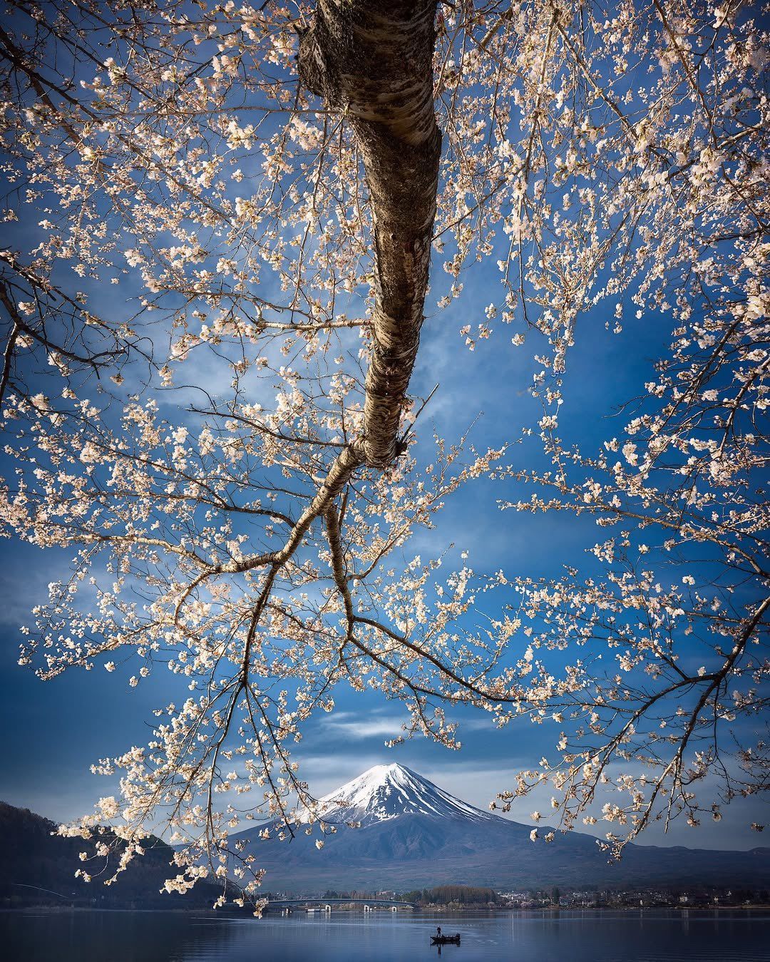 Mount Fuji Spring Wallpapers - Wallpaper Cave