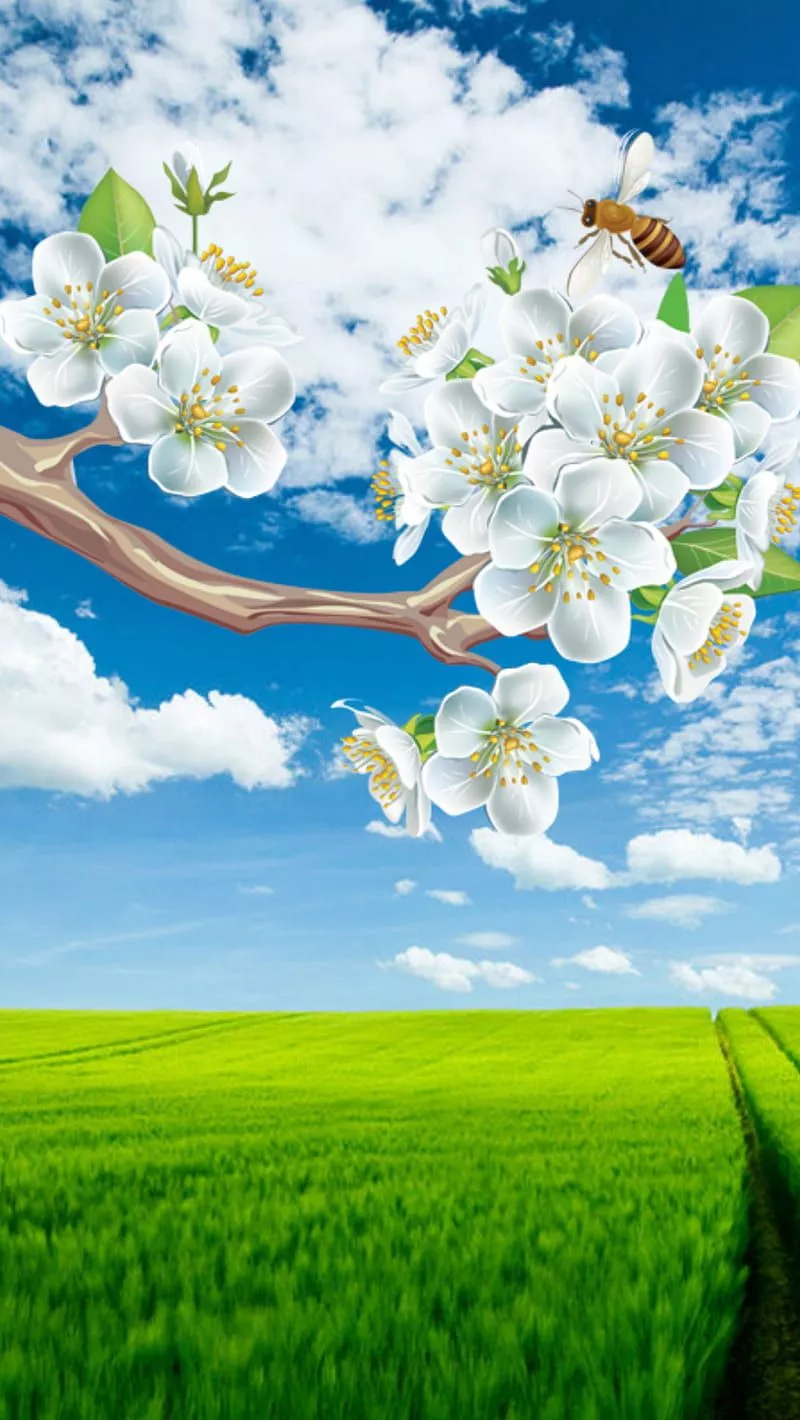 Spring Meadow Phone Wallpapers - Wallpaper Cave