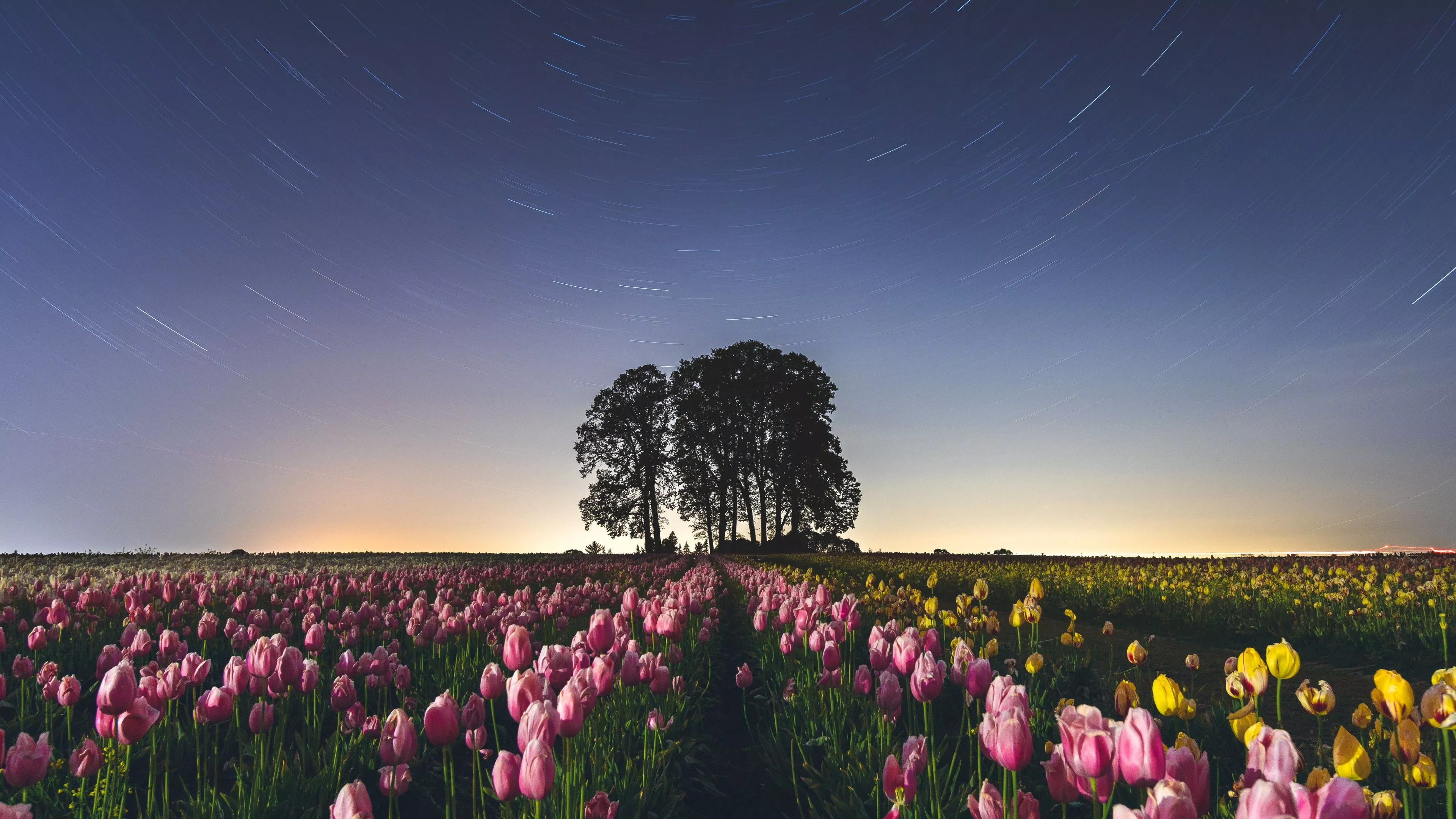 Spring 4k Night Wallpapers - Wallpaper Cave