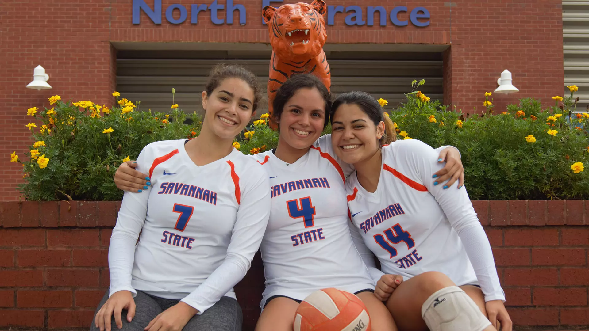 Puerto Rico Volleyball Wallpapers - Wallpaper Cave