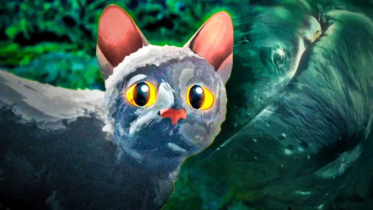 Flow Movie Wallpapers - Wallpaper Cave