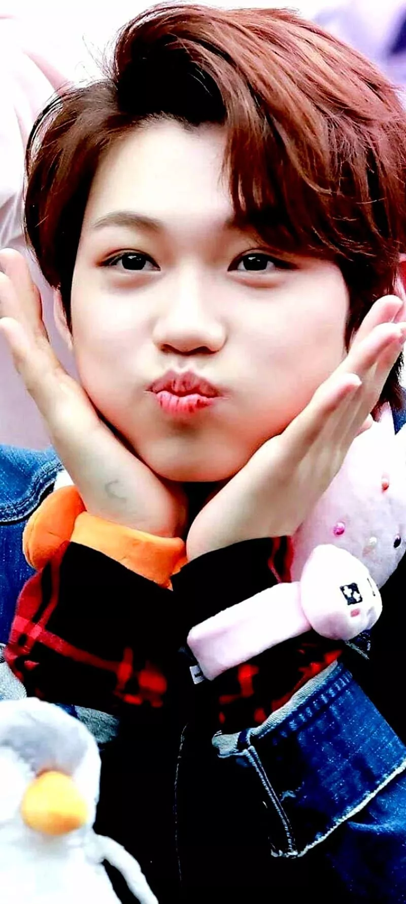 Cute Felix Wallpapers - Wallpaper Cave