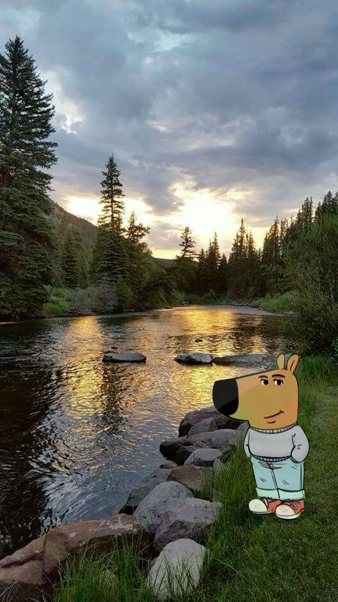 Chill Guy Phone Wallpapers - Wallpaper Cave